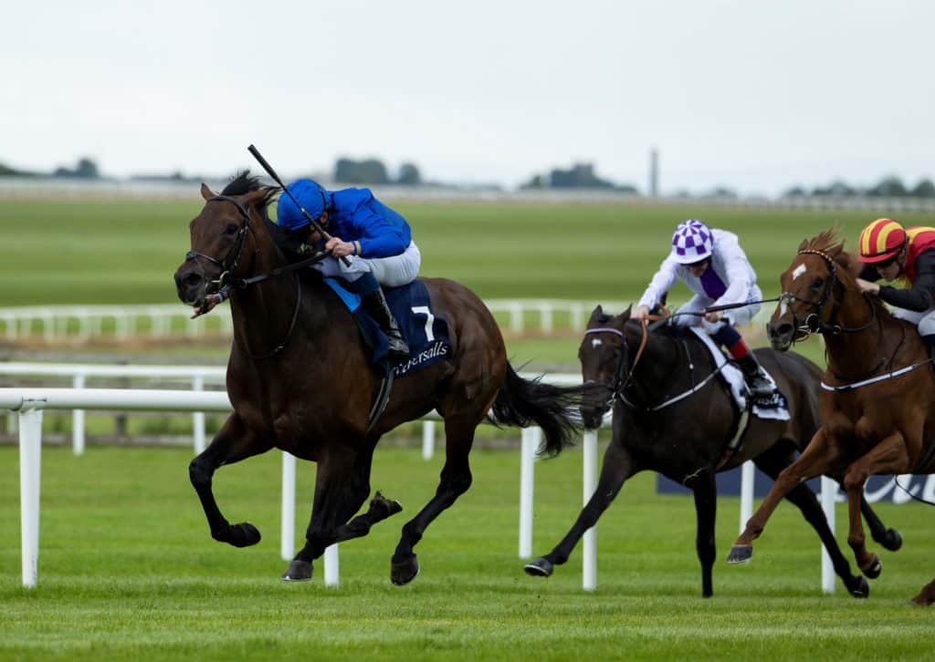 Classic victory for Native Trail - Stallions