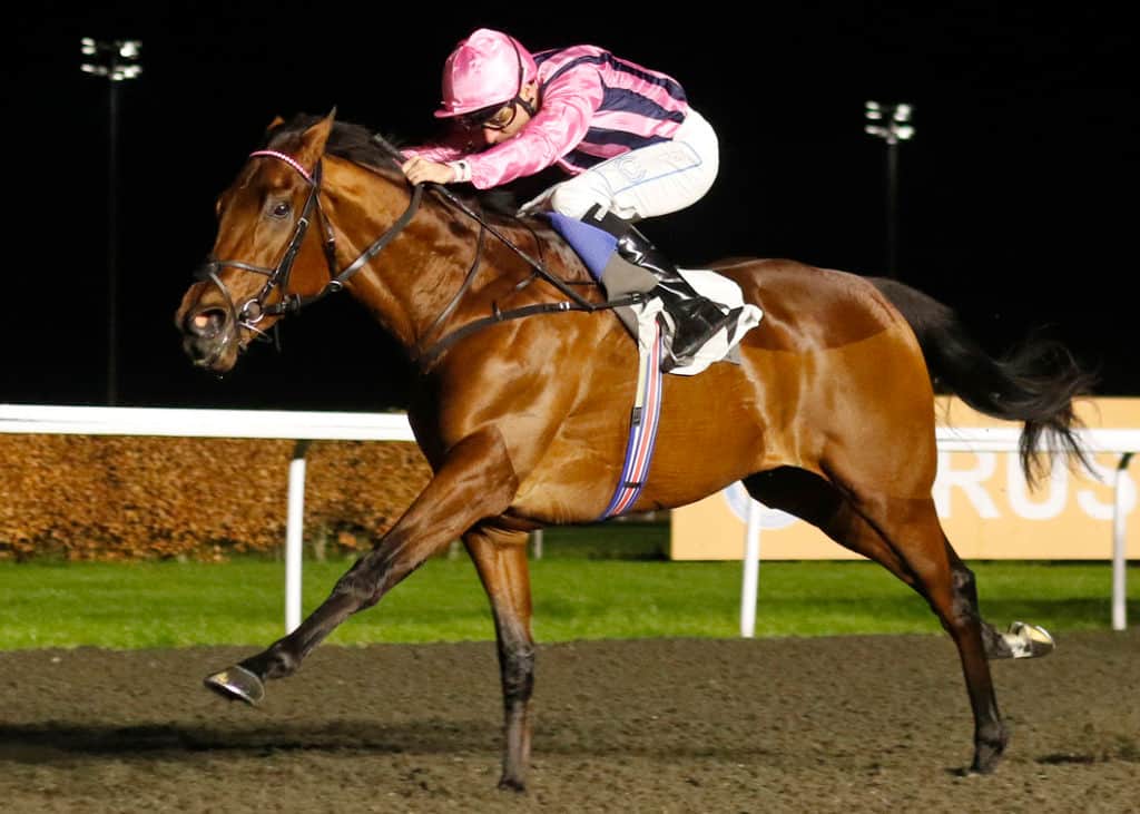 Bowmark a new TDN 'Rising Star' for Kingman - Stallions