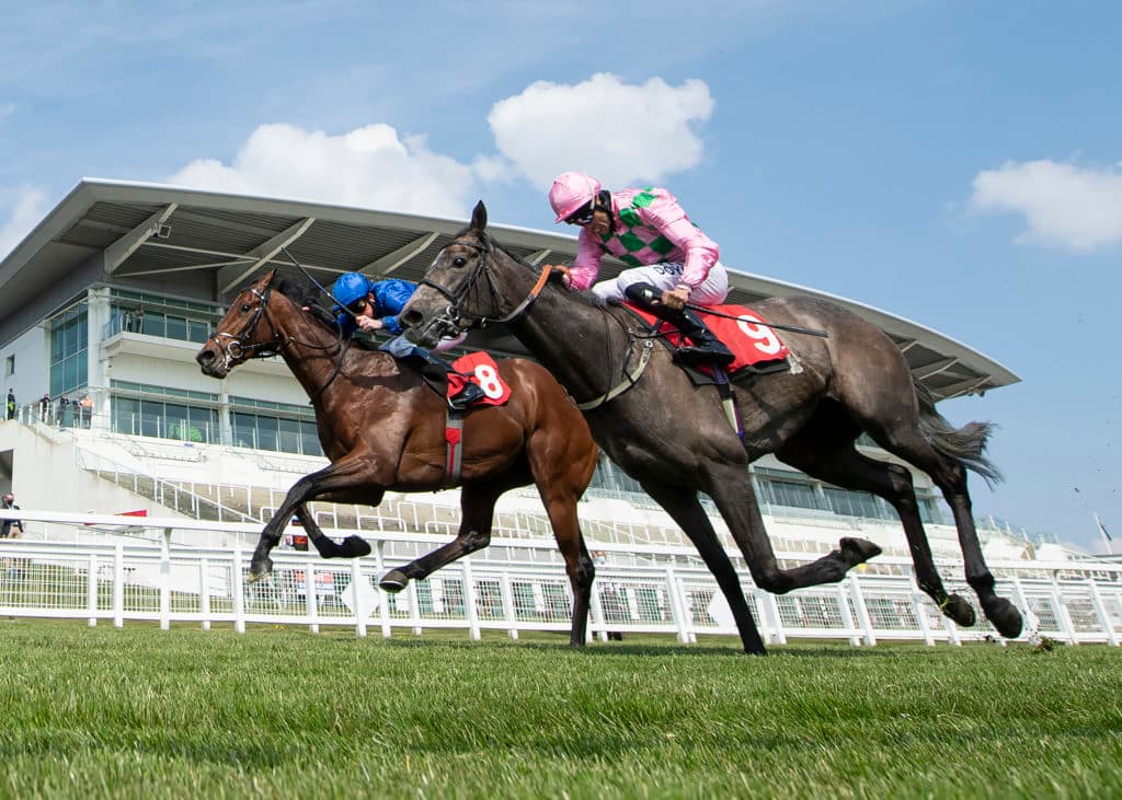 Blue Riband win for Wirko - Stallions