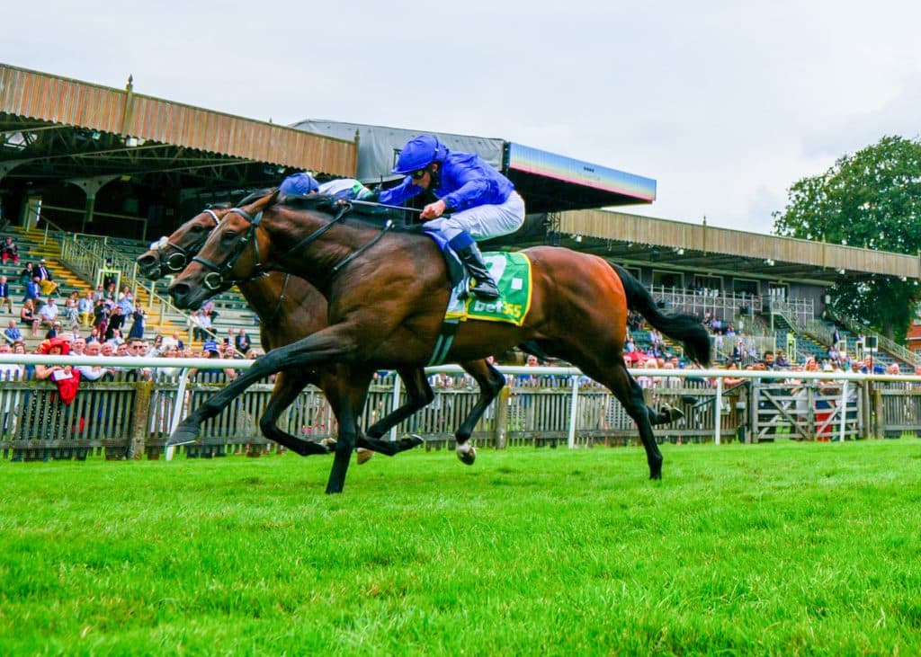 Superlative win for Native Trail - Stallions