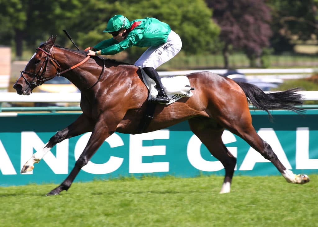 Frankel's Candelari upstages Gr.1 Vicomtesse Vigier rivals - Stallions